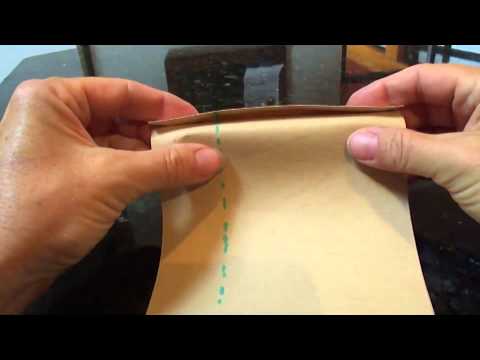 Using the cyg germination pouch for larger seeds - YouTube