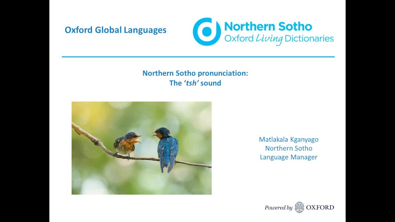 Oxford Northern Sotho dictionary: the 'tsh' sound - YouTube