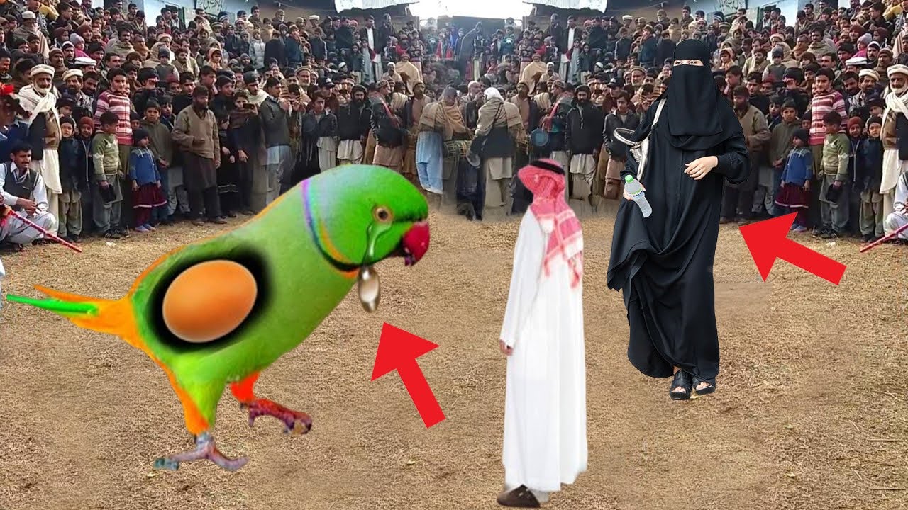 Wafadar Tota Or Budkar Ourat Or Allah Wala Shohar Ka Sucha Waqia ...