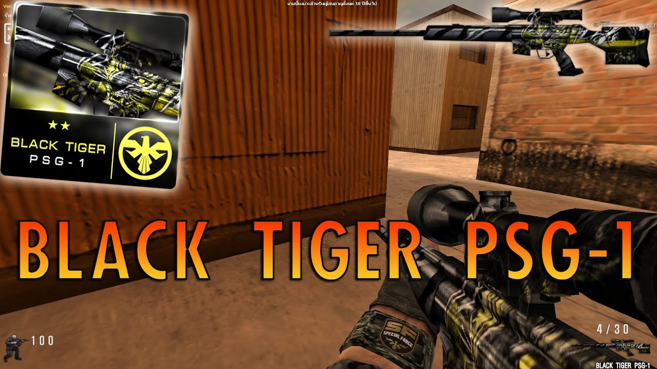 SF : มาลองเล่นปืน 🖤BLACK TIGER PSG-1💛 - YouTube