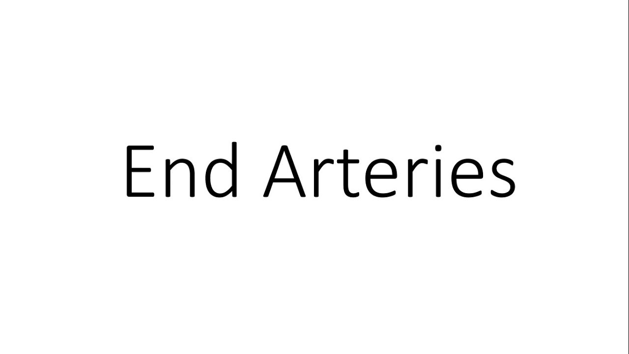 End Arteries - General Anatomy - YouTube