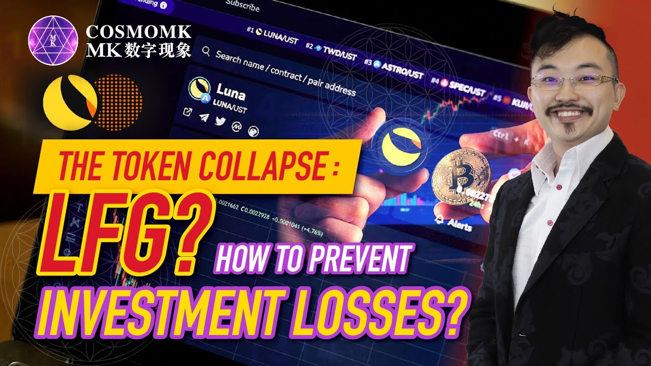 5) Token Collapse : What is LFG? How to Prevent Losses? - Fams 范力铖 ...