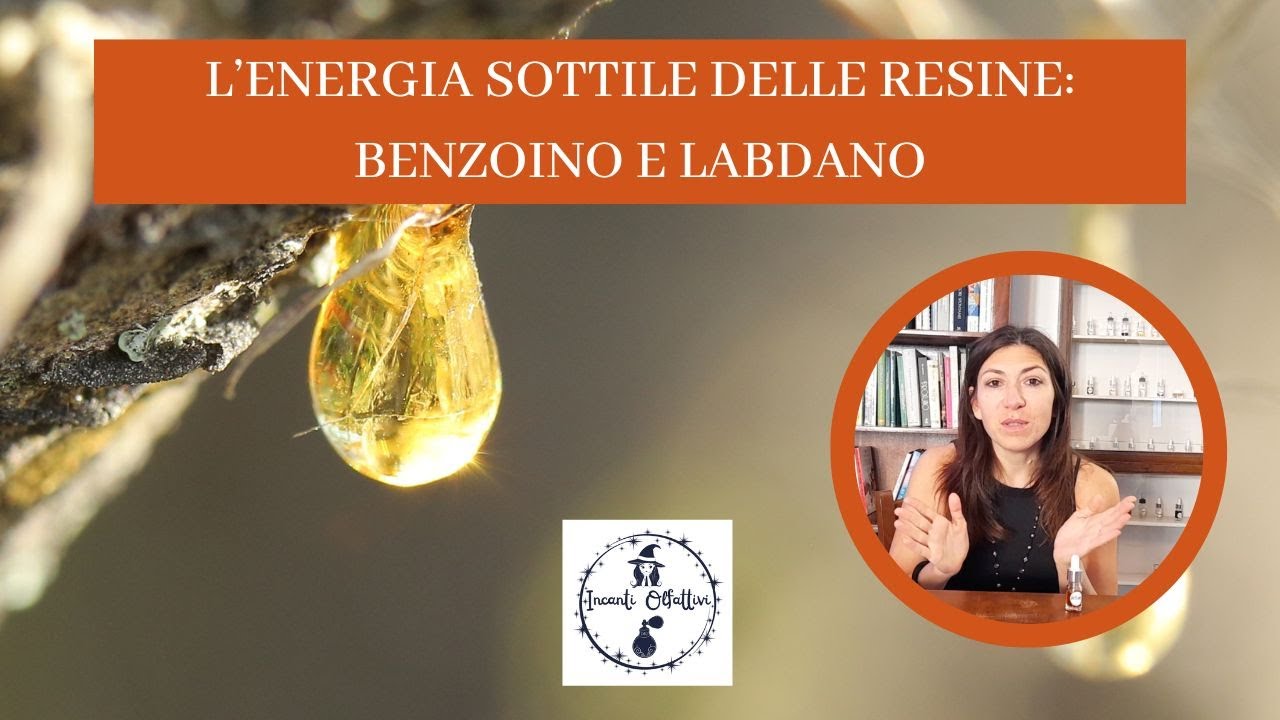 L'ENERGIA SOTTILE DELLE RESINE: BENZOINO E LABDANO - YouTube