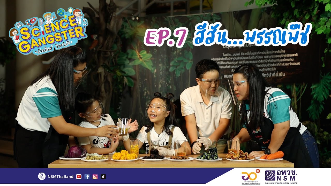 สีสัน...พรรณพืช | Science Gangster ก๊วนคิดส์ วิทย์แก๊ง EP.07 - YouTube