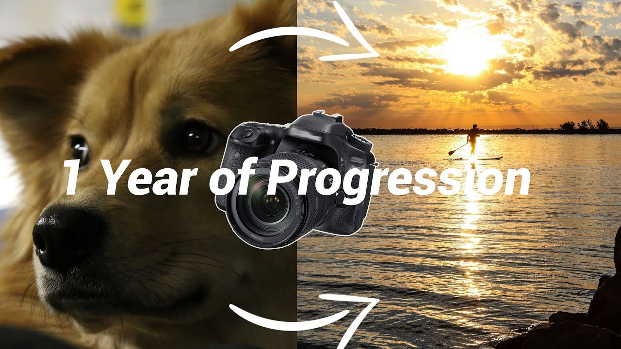 1 Year of Progression in Photography - YouTube