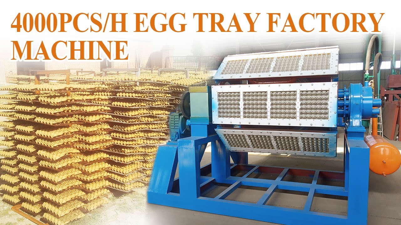 Full Process! 4000PCS/H Egg Tray Manufacturing Machine Line from ...