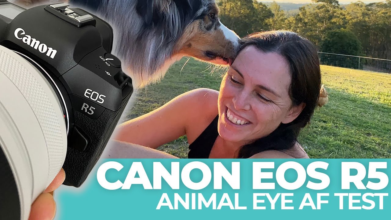 Pet Photographer Tests Out Animal AF on the Canon EOS R5 Mirrorless ...