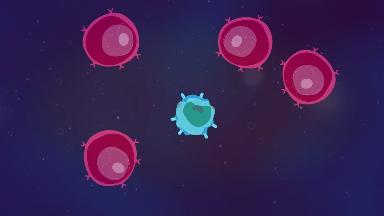 Antifreeze Animation - Cancer therapy explainer video animation - YouTube