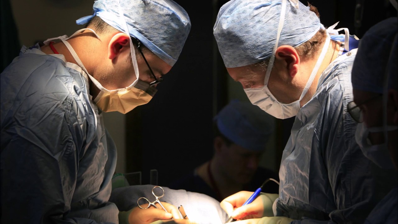 Full body transplant (Shocking Science) - YouTube