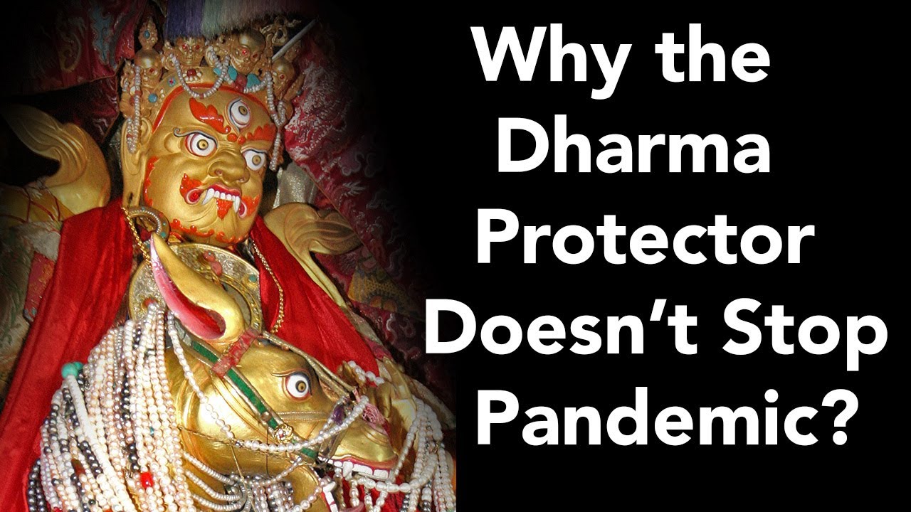 Why the Dharma Protector Doesn’t Stop Pandemic? - YouTube
