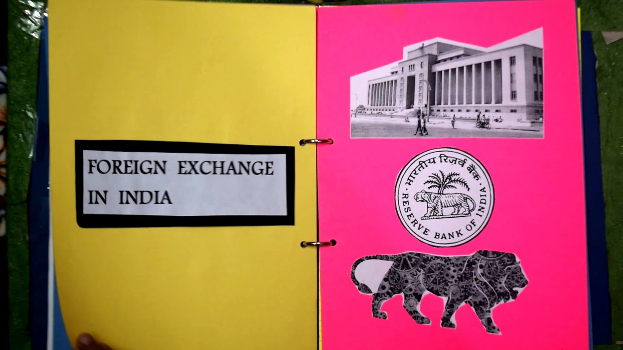 Class 12 economics project on foreign exchange - Sahil Vats - YouTube