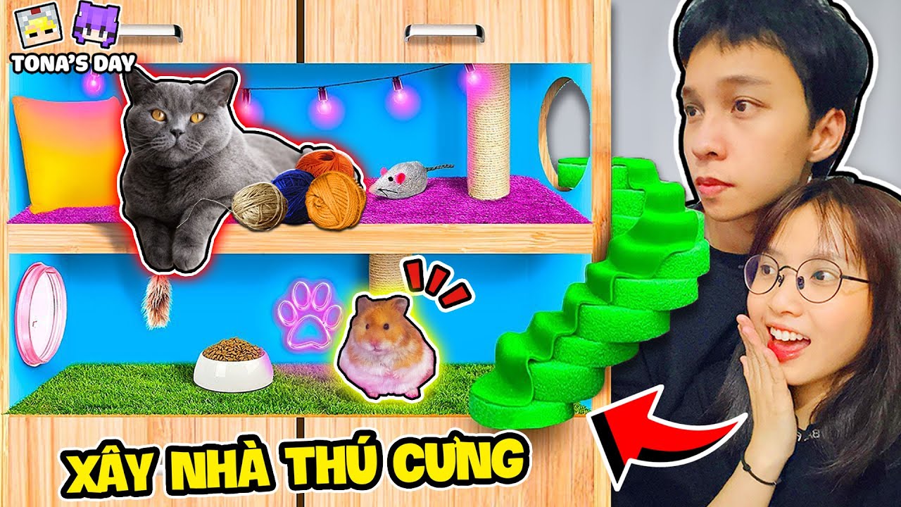 NABEE VÀ TÔ GÀ XÂY "CHUNG CƯ TIỀN TỶ" CHO THÚ CƯNG SIÊU XỊN - TONA'S ...