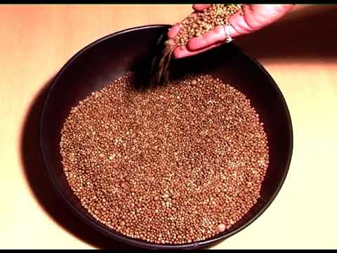 RCF Ltd. - Sufala 20:20:0 TVC - YouTube