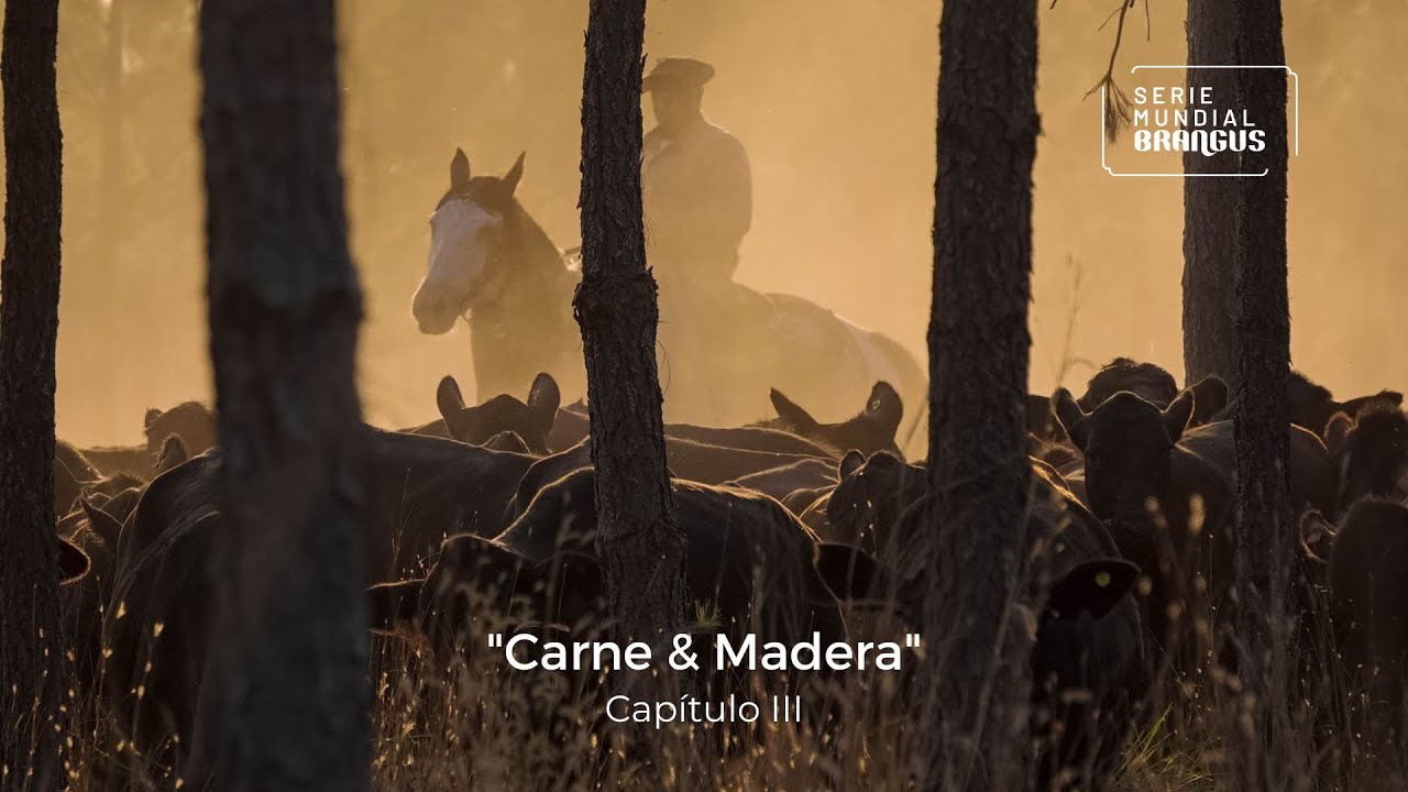 Capítulo III • La Victoria • "Carne & Madera" - YouTube
