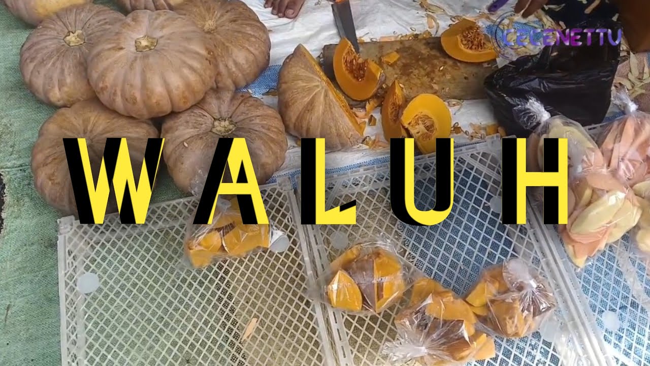 Jual Waluh atau pumpkins si makanan penuh gizi dan mudah diolah - YouTube