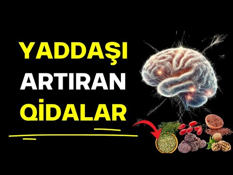 Zəka və yaddaş üçün 7 güclü beyin qidası – Əsl təbii dərmanlar