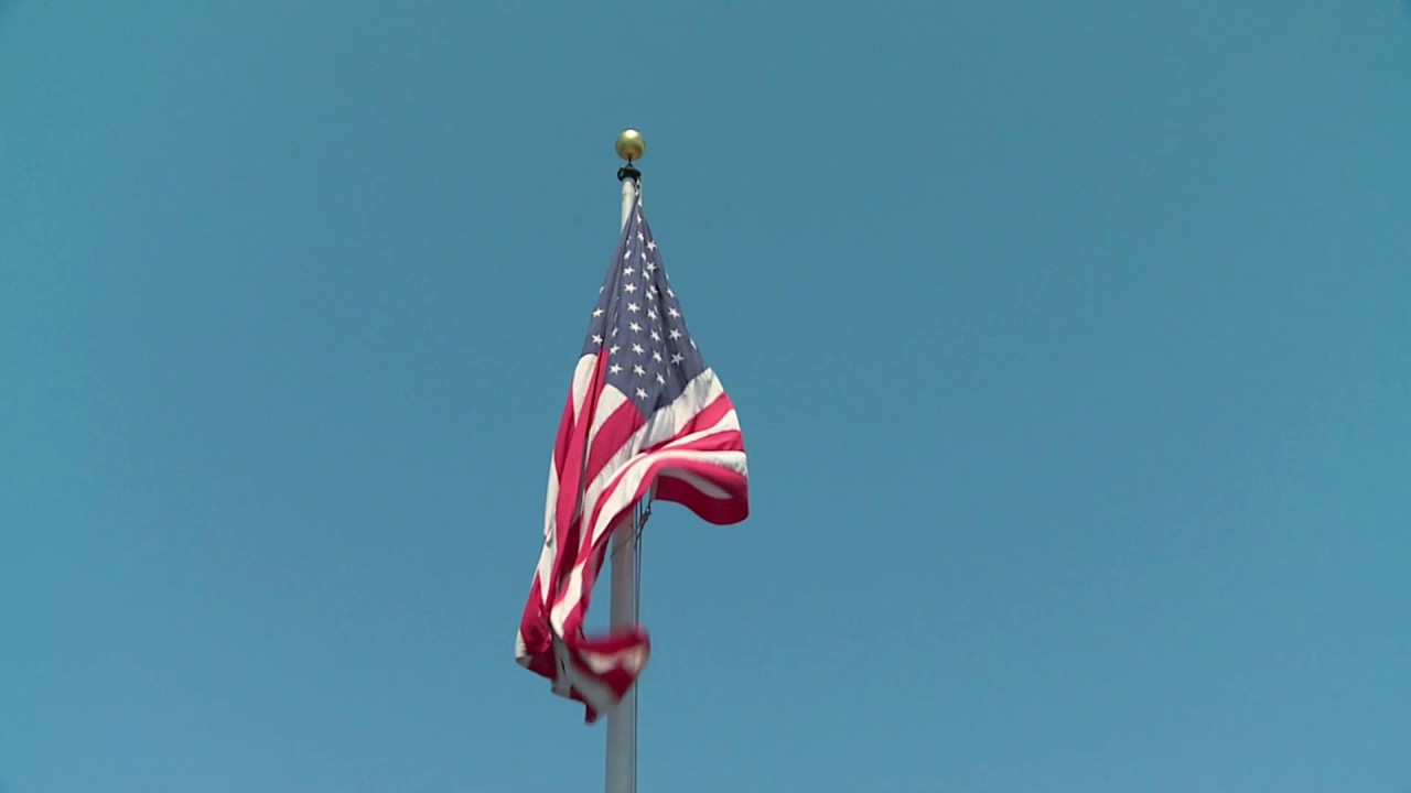 Mighty Cat Meme VS American Flag - YouTube