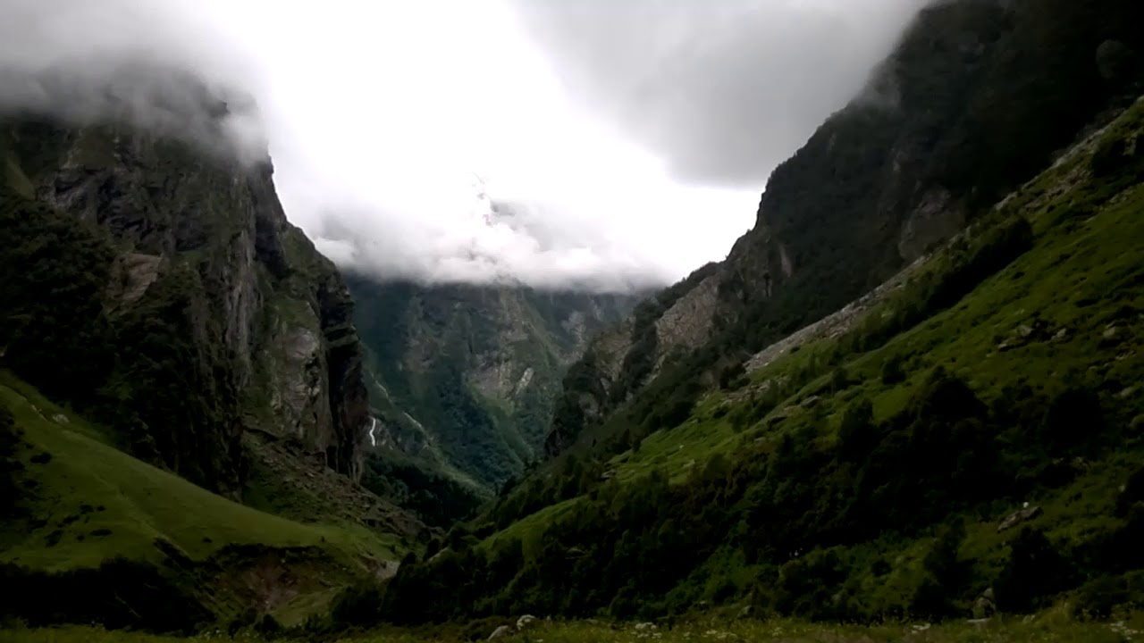 #phoolon ki ghati#vally of #flowers#uttarakhand - YouTube