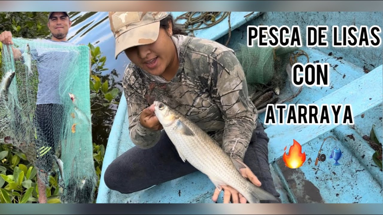 Pesca de lisas con atarraya 🎣 - YouTube