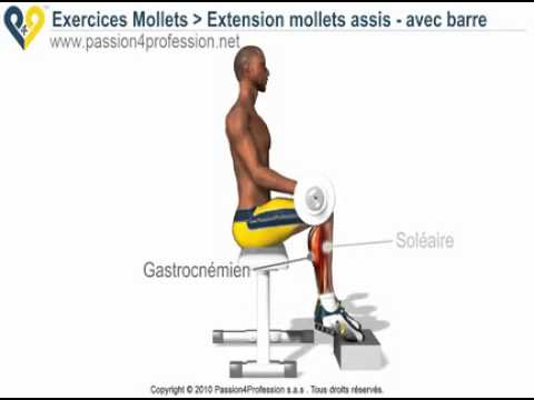 Extension mollets assis avec barre exercice musculation mollets P4P ...