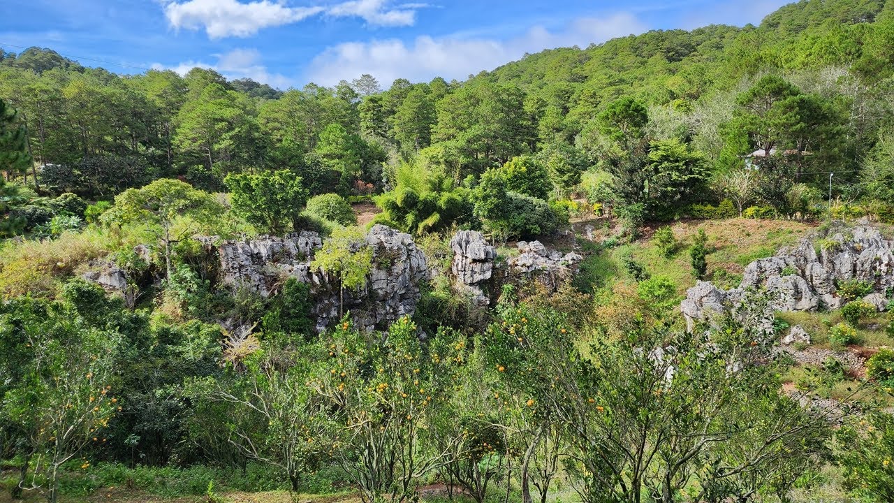 Mountain Province, Philippines | Sagada Orange Picking at Rock Inn and ...