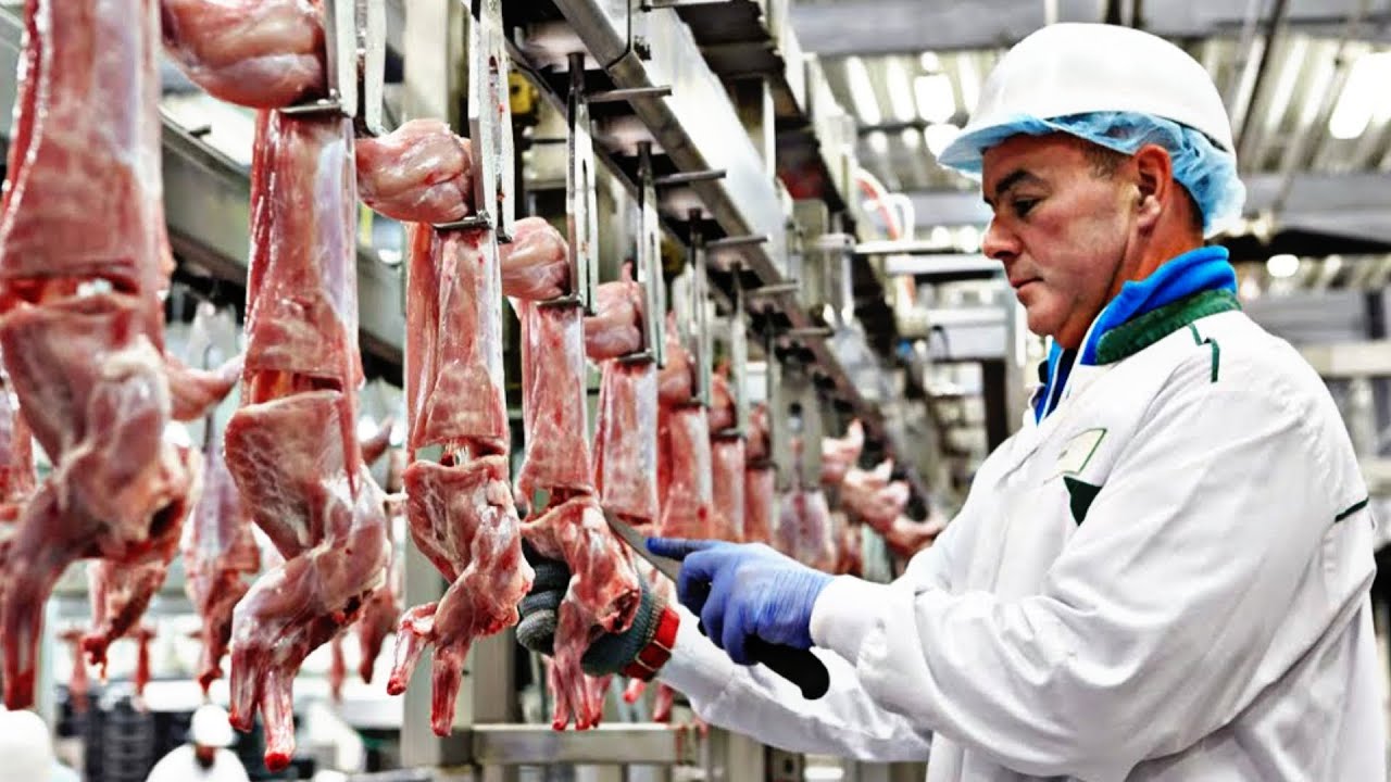 Rabbit Meat Processing Machines That Are On Another Level - YouTube