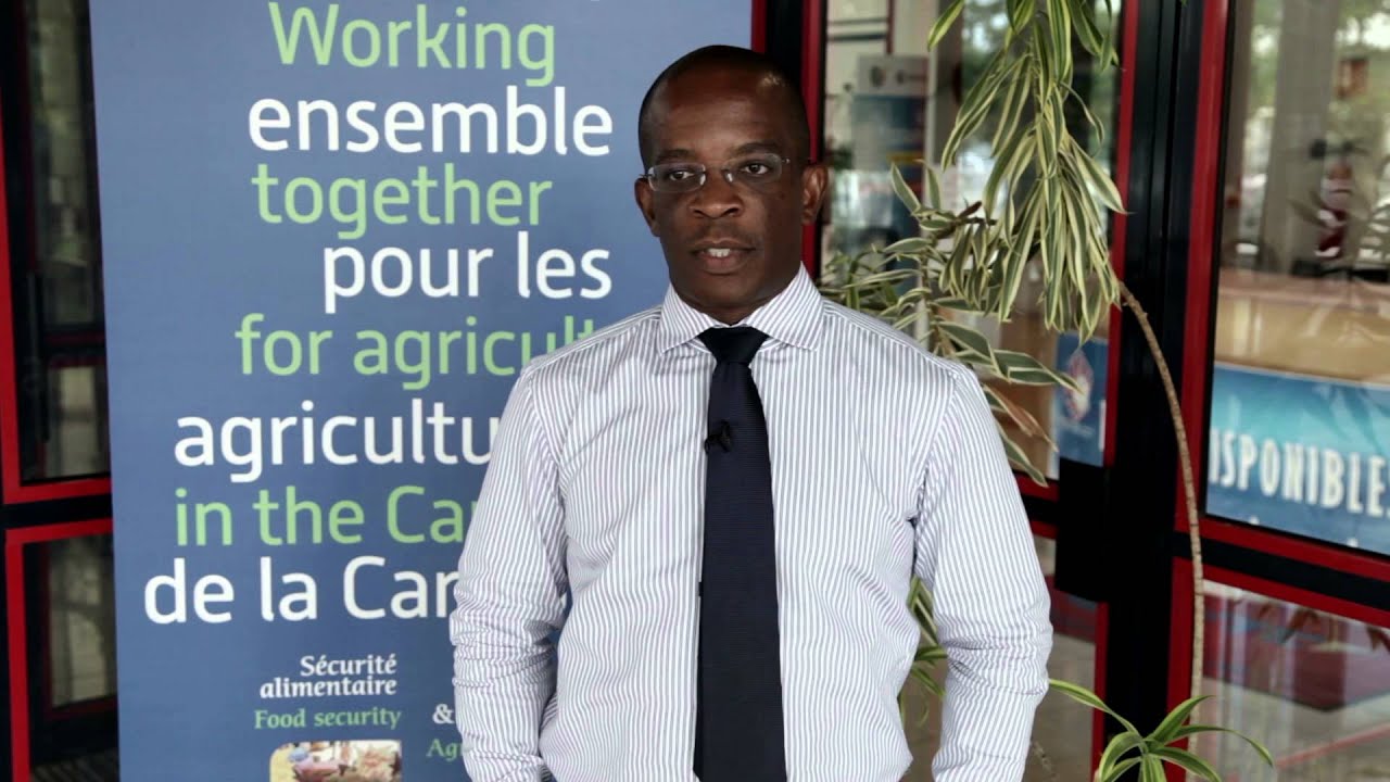 Présentation du programme Interreg Caraïbes 5 - YouTube