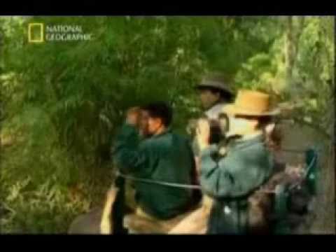 Steppes: Tiger Tracking in Indian National Parks - YouTube