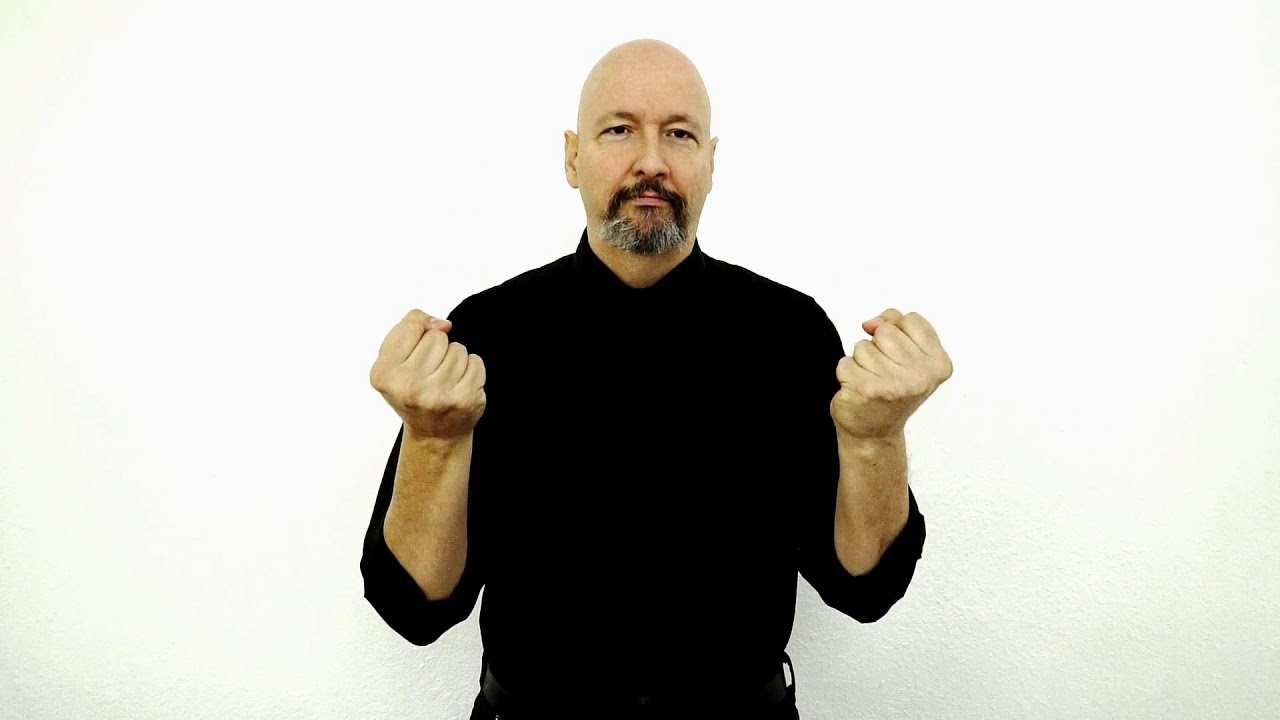 SIGN-[1-movement-version / S-C-S] / to sign / use sign language / a ...