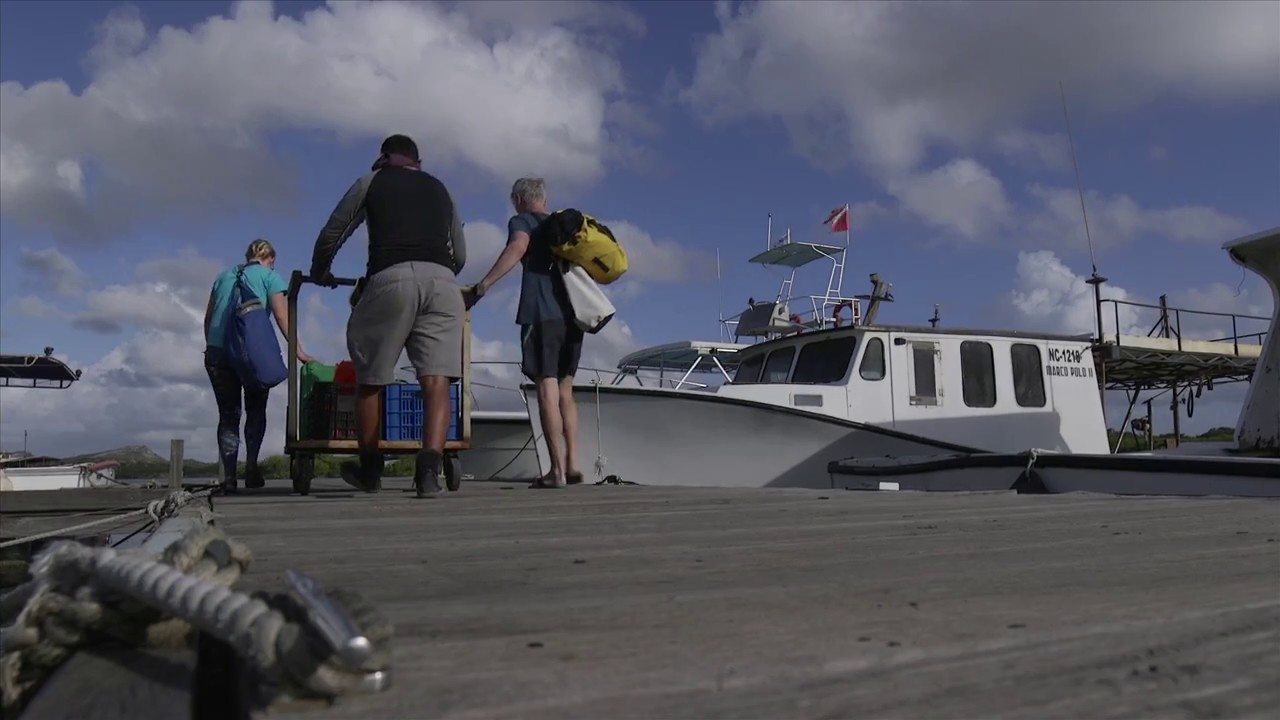 Baseline Caribbean - 88 Kilos - YouTube