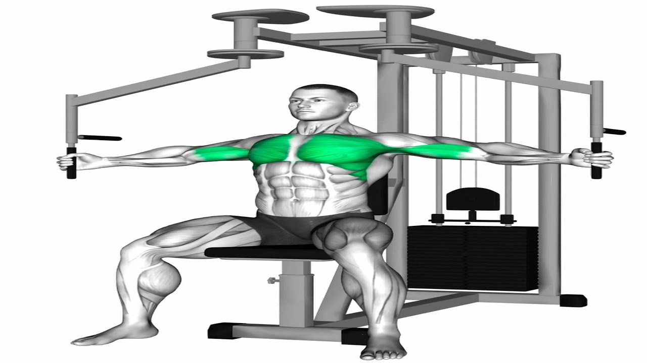 6 Powerful Exercises for a Defined Chest - YouTube