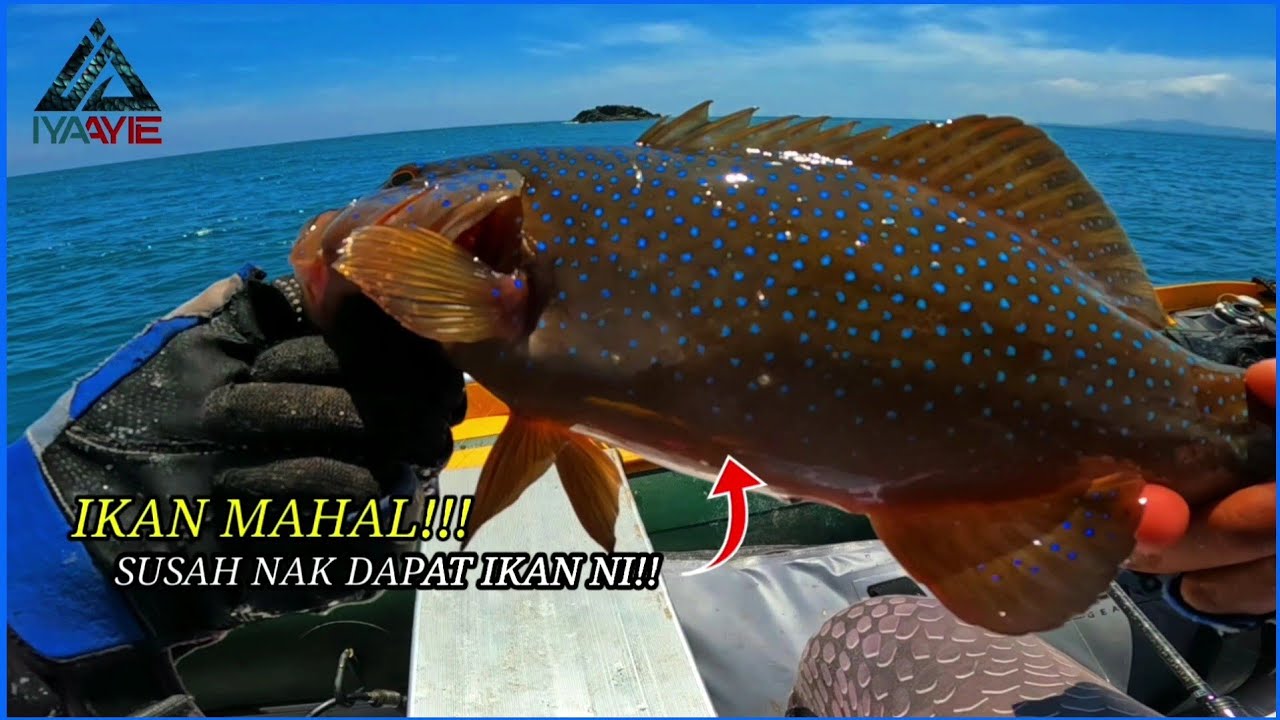 REZEKI DAPAT IKAN MAHAL..TRIP SEBELUM PUASA 2024..INFLATABLE BOAT ...