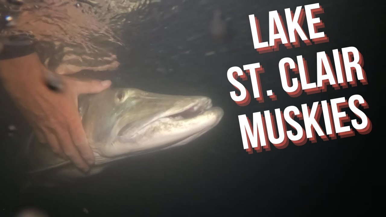 CHASING GIANTS - LAKE ST CLAIR - The 48.75” - YouTube