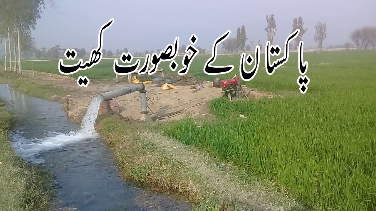 pakistan k beautiful kahat \village life\ natural life - YouTube