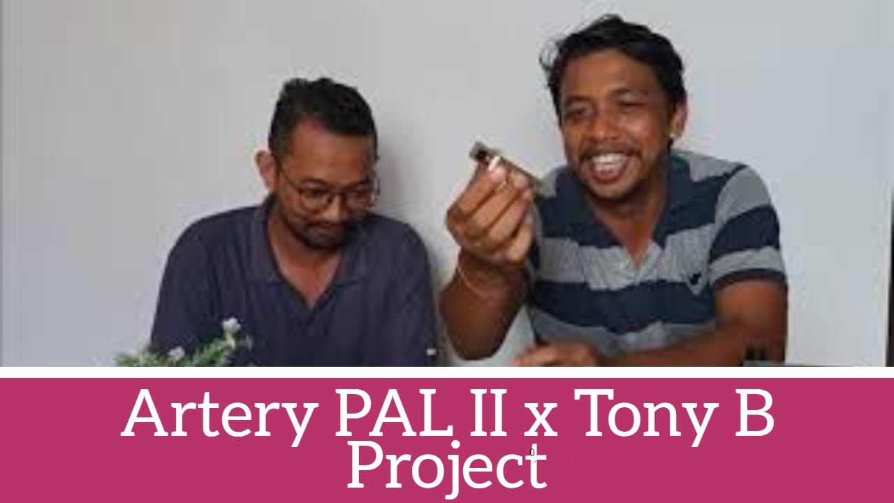 ARTERY PAL II PRO x Tony B Project Review : Paling enak diisi SaltNic ...