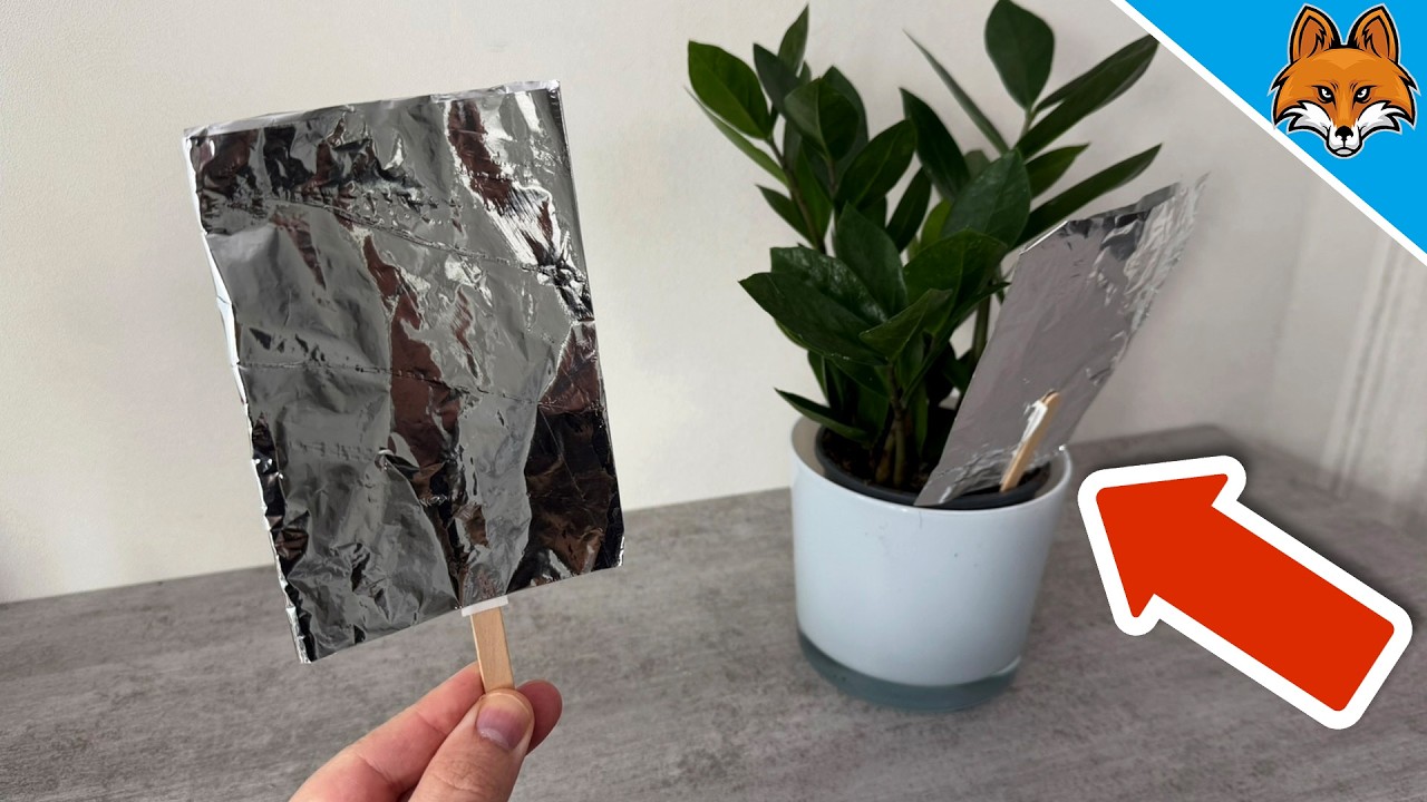 Stick Tin Foil in your Flowers and WATCH WHAT HAPPENS💥(Amazing)🤯 - YouTube