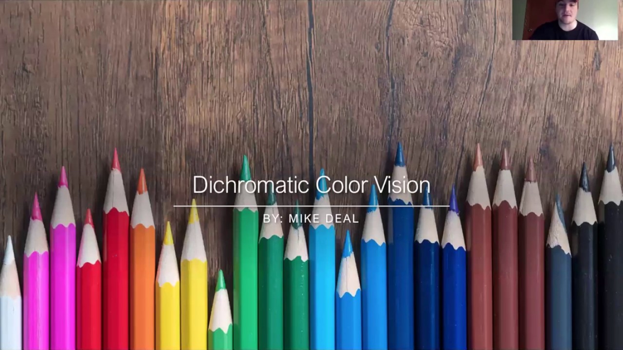 Dichromatic Color Vision - YouTube