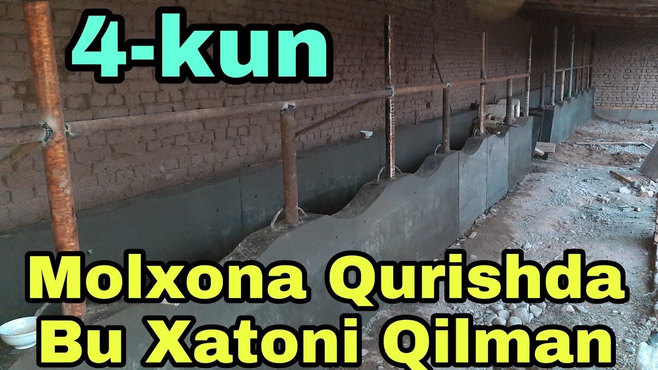 ZAMONAVIY MOLXONA QURULISH ISHLARI 4-KUN - YouTube
