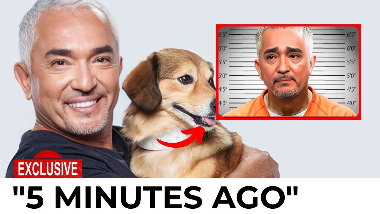 Things Aren't Looking Good For Cesar Millan - YouTube