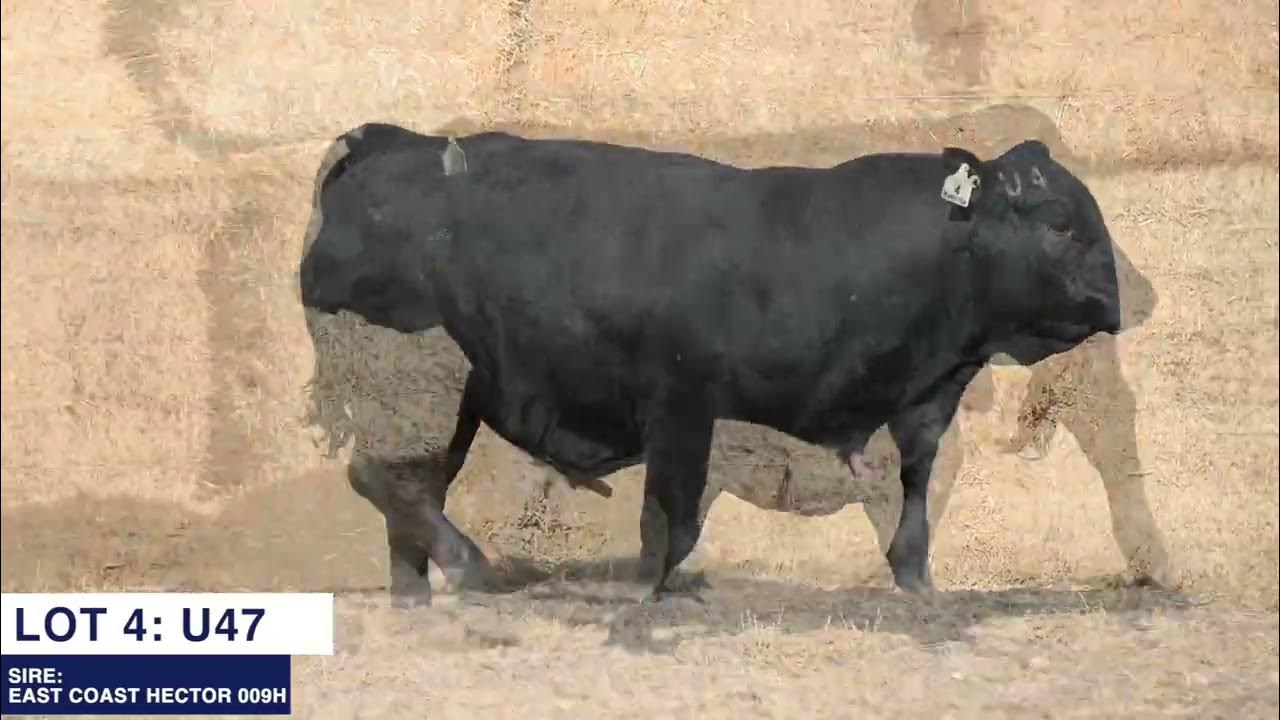 MANDAYEN LOT 4: U47 - YouTube