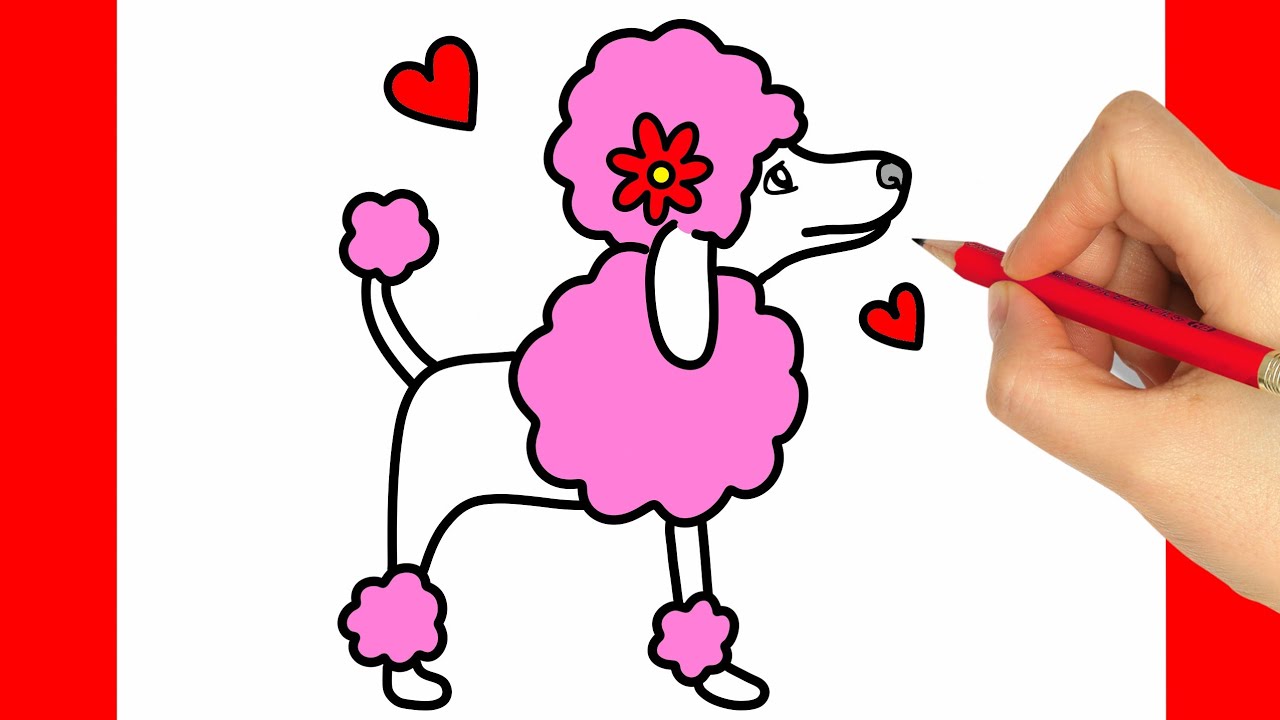 How To Draw A Cartoon Poodle - YouTube