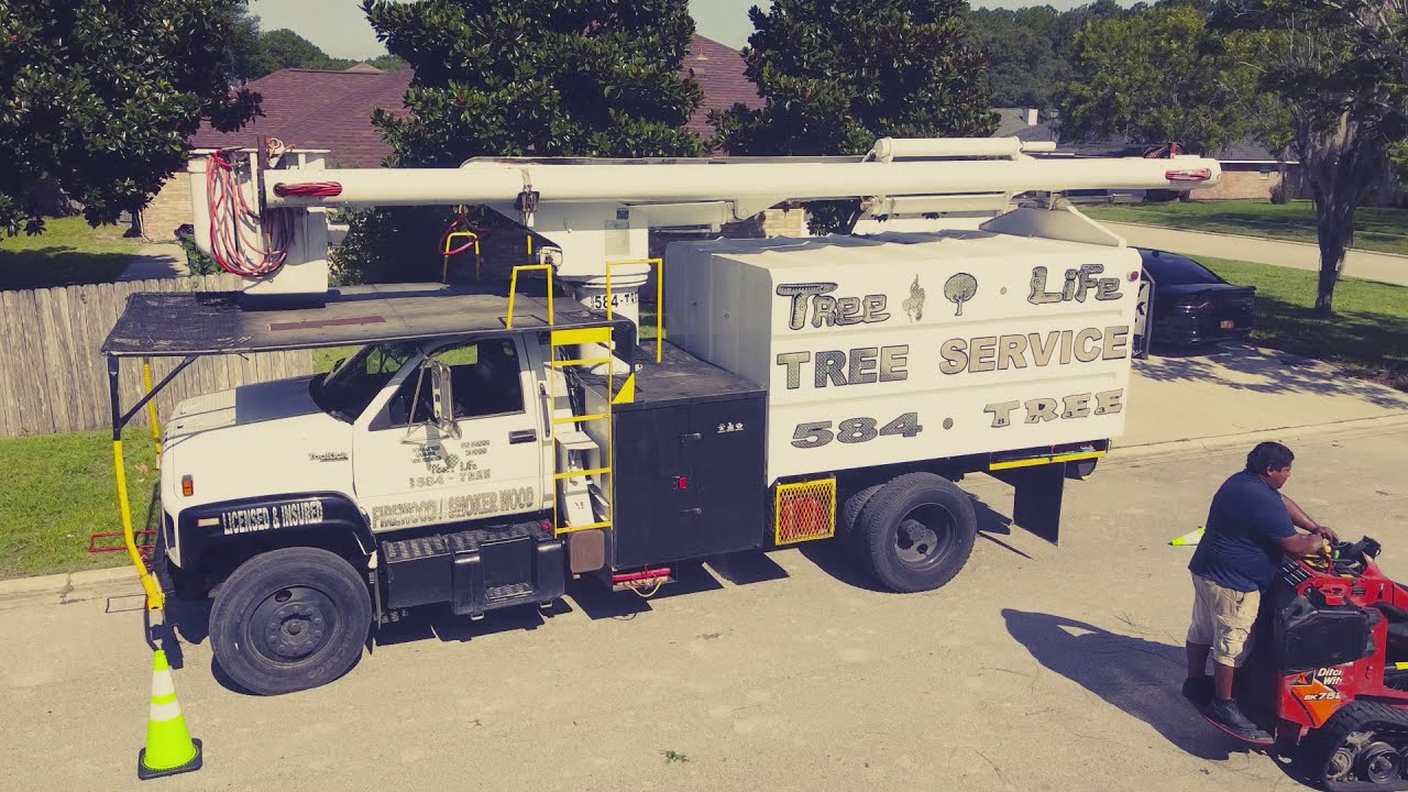 TREE SERVICE COMMERCIAL PINE TREE REMOVAL OVER POND WITH DJI MAVIC MINI ...