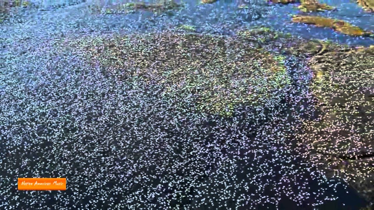 The Web Of Life Native American Music~432hz~ - YouTube
