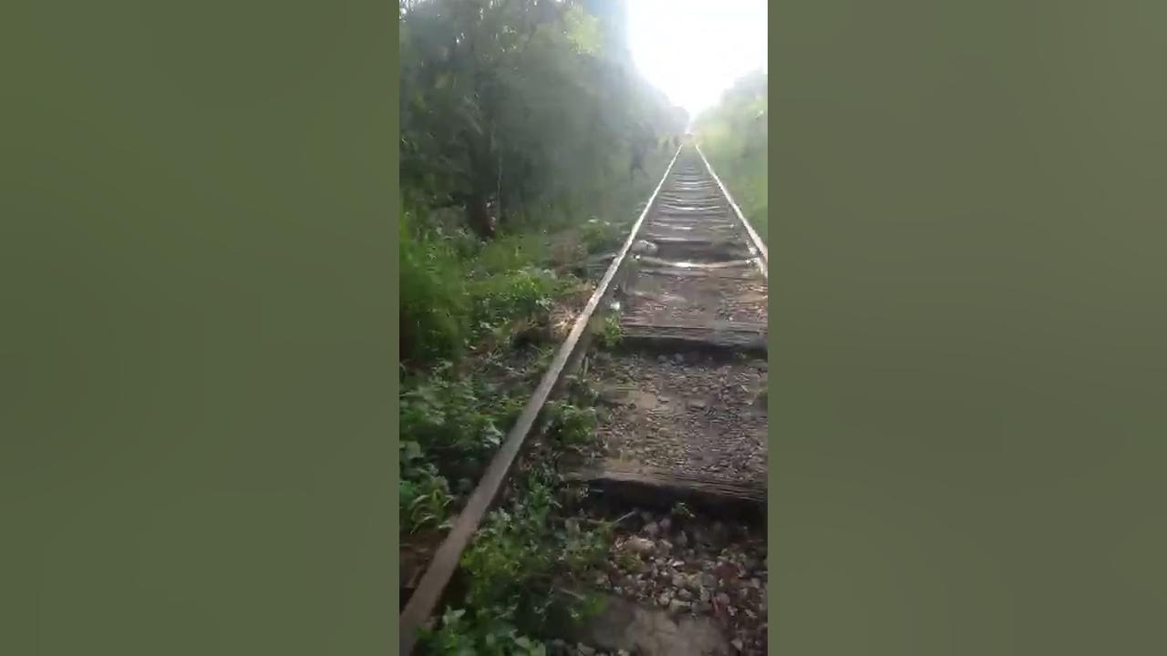 la bestia el tren de la muerte - YouTube