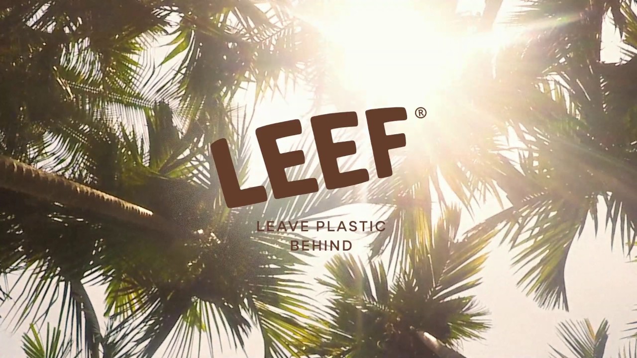 The way of the leaf - how our LEEF plates are made - YouTube