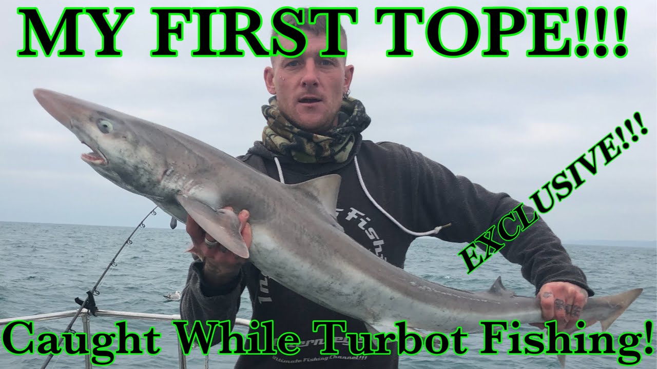 Tops Fishing - HUGE Tope Caught While Turbot Fishing On Boat!!! - YouTube
