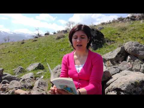 Masal - At ile Eşek, çocuk masalları, eğlence, doğa