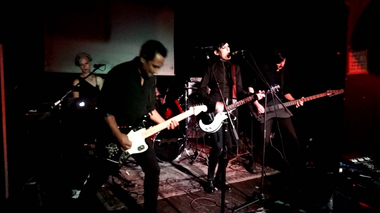 Ink Bats in Santa Cruz #1 - YouTube