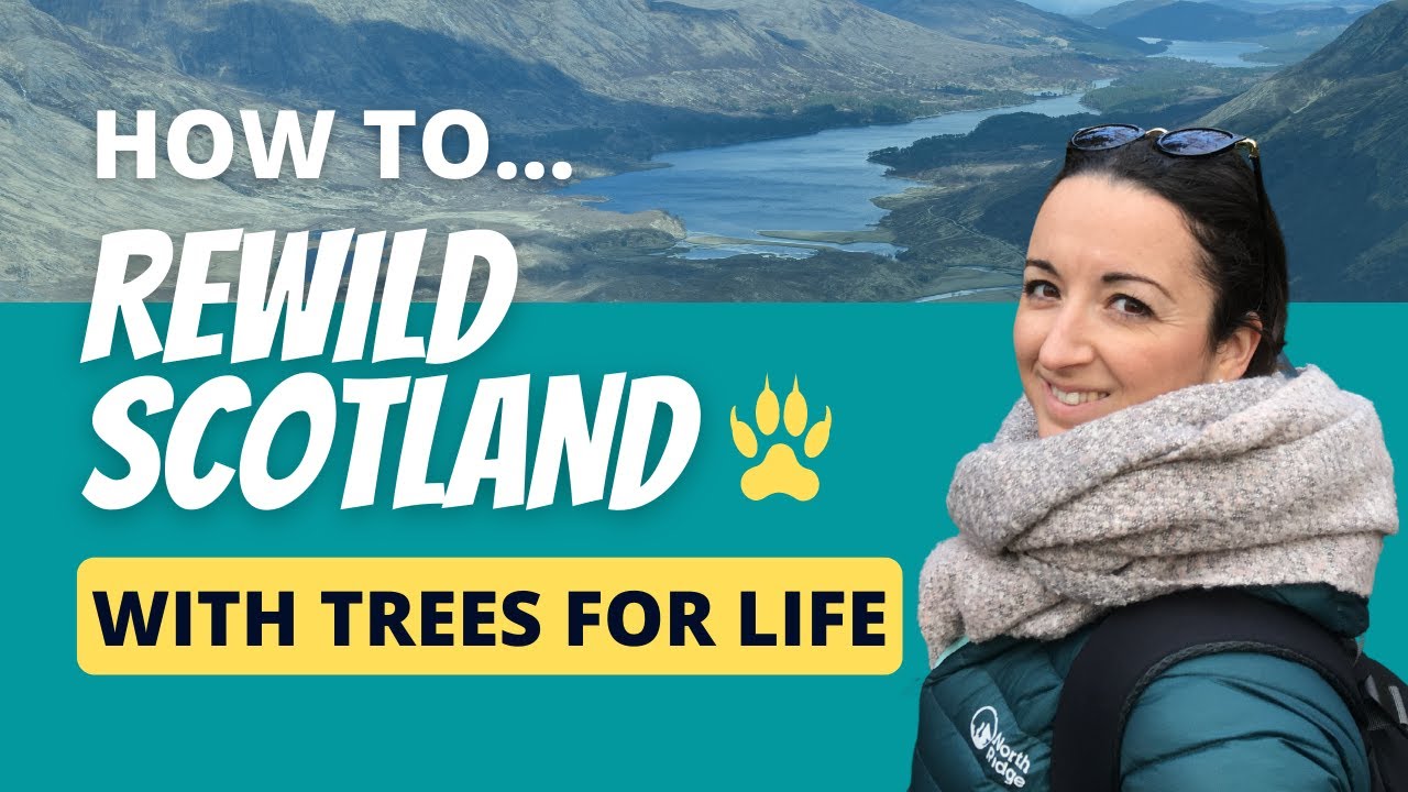 How To Rewild Scotland | Interview With Trees for Life - YouTube