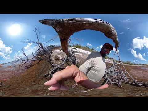 Coastal Challenges at Big Munson Island-Part 1 of 2 - YouTube